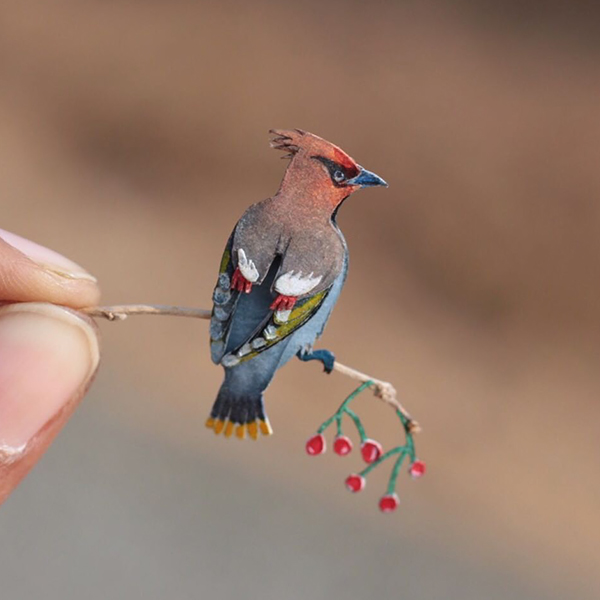 Dreamy Photography of Birds is Out of a Storybook Fairytale