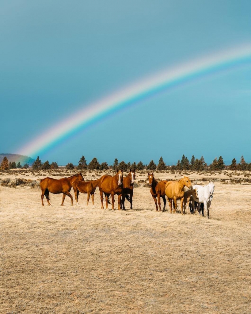 Traveling Photographer Captures Dreamy Landscapes Around the World | My ...