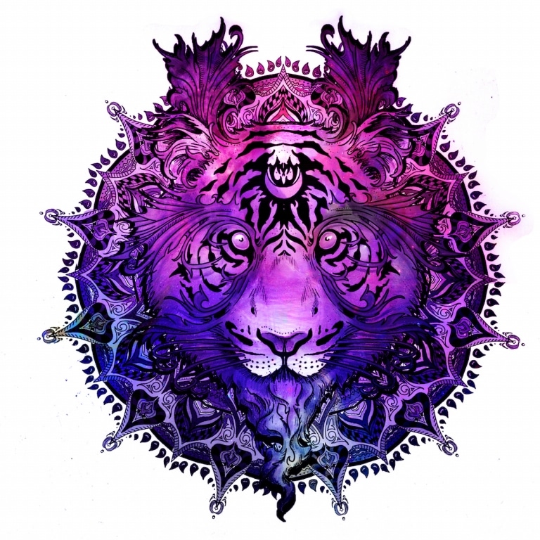 20 Incredible Artists Get Creative with Chameleon Art Products