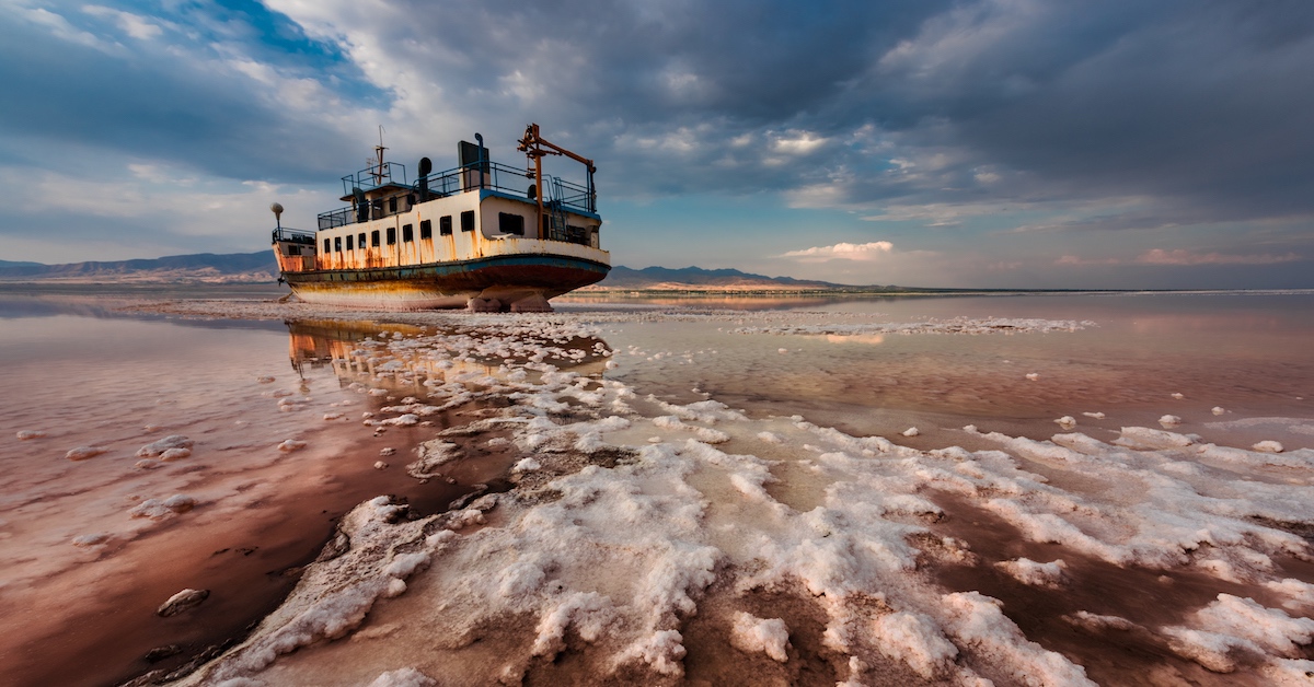 Winners of the 2018 Environmental Photographer of the Year Contest
