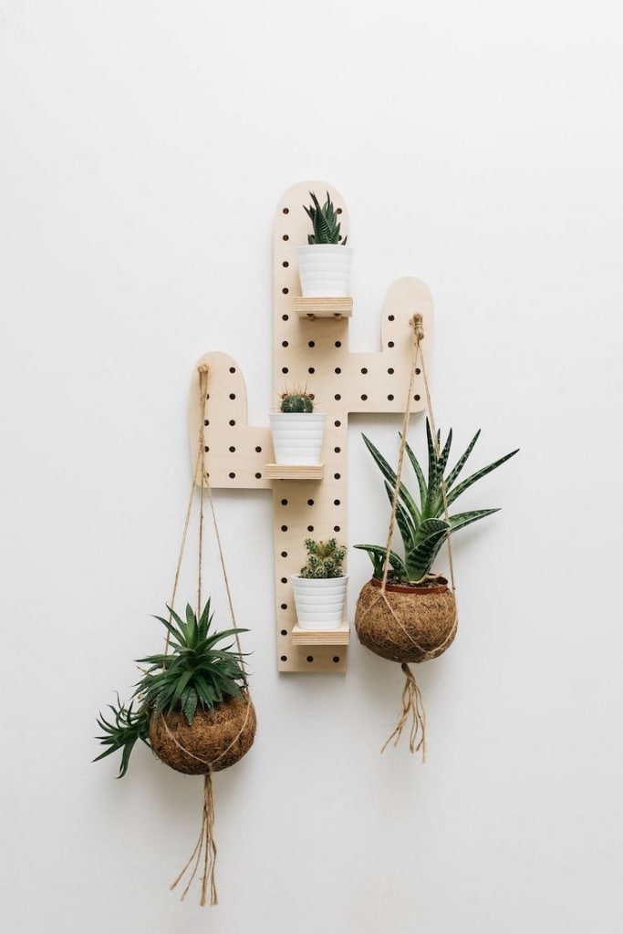 22 Productos inspirados en los cactus para los fanáticos de estas plantas