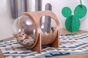 Spaceship Cat Bed Collection Turns Sleep Cats Into Space Explorers