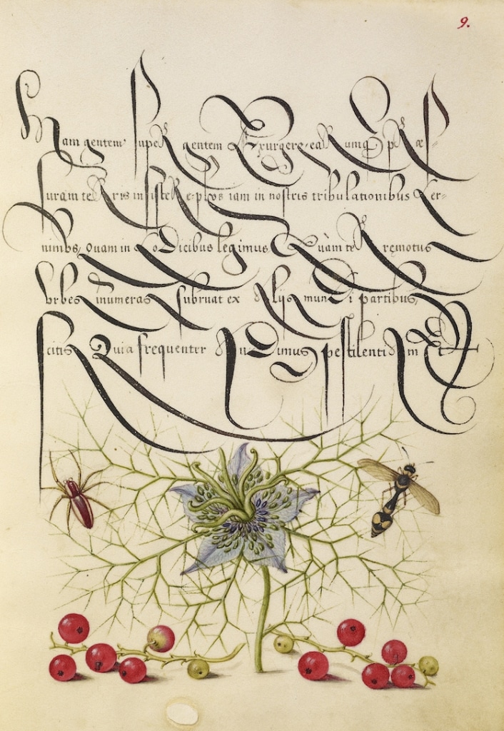 16th-Century Calligraphy Manual Available for Free Download