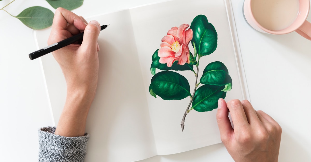 15+ Online Creative Classes to Spark Your Imagination This Week