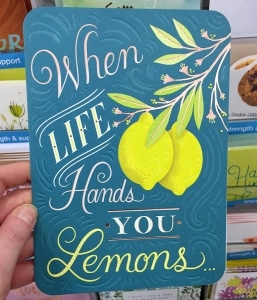 Entrevista: Lisa Perrin crea ilustraciones que celebran las ...