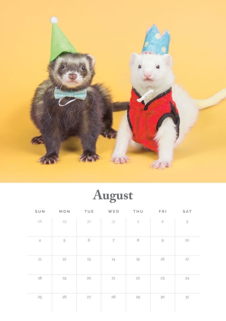 Giant 2019 Calendar Greets Every Month with Adorable Portraits of ...