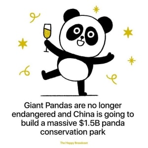 Artist Illustrates the Happy News Stories That Happened in 2018