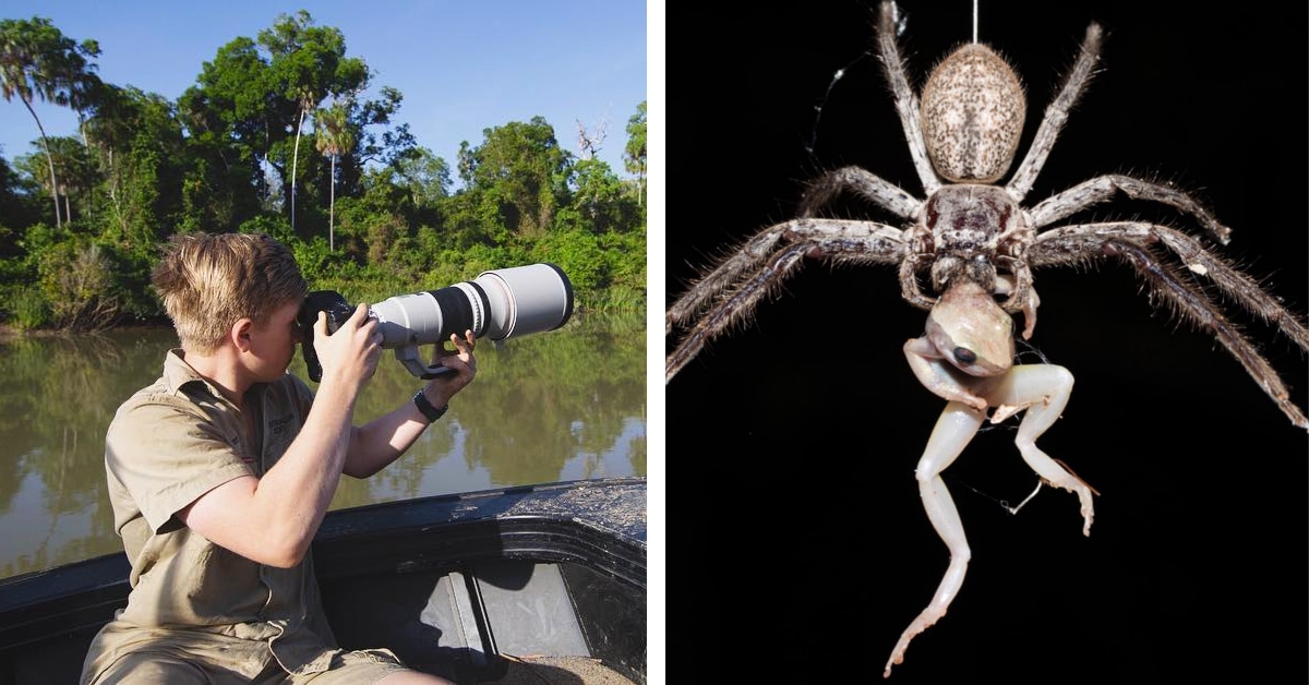 Robert Irwin: El hijo de Steve Irwin es elogiado en concurso de fotografía