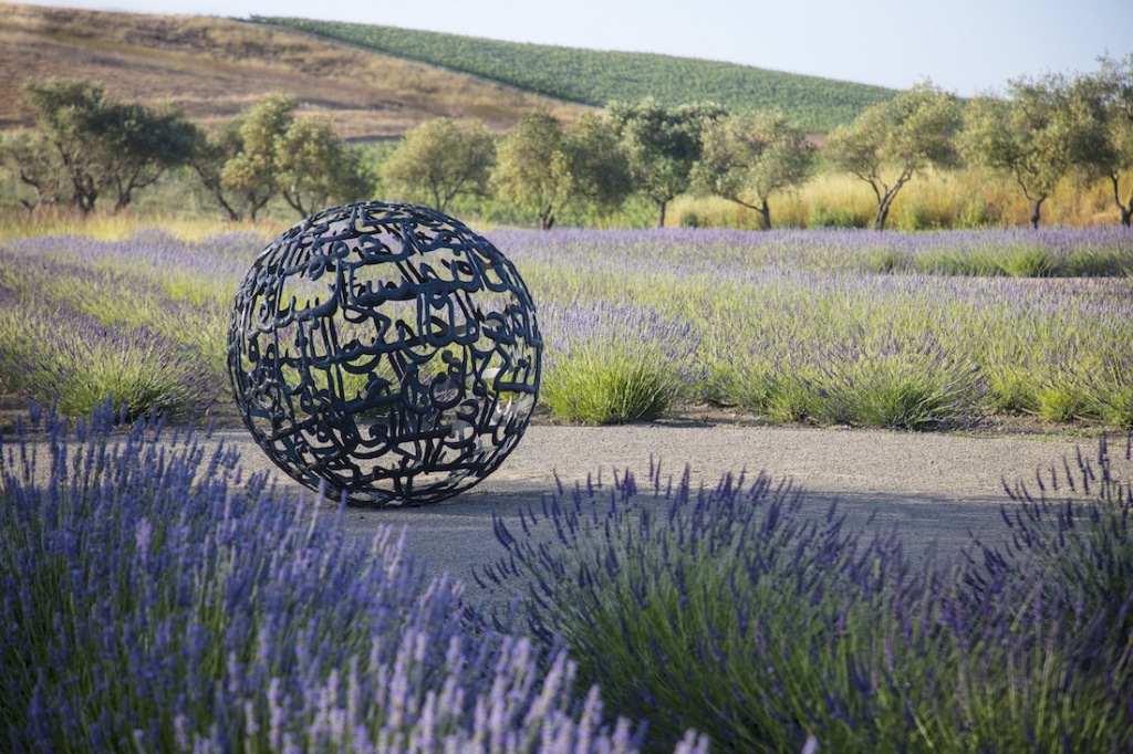The Donum Estate Sculpture Park: A Beautiful Winery Sculpture Garden