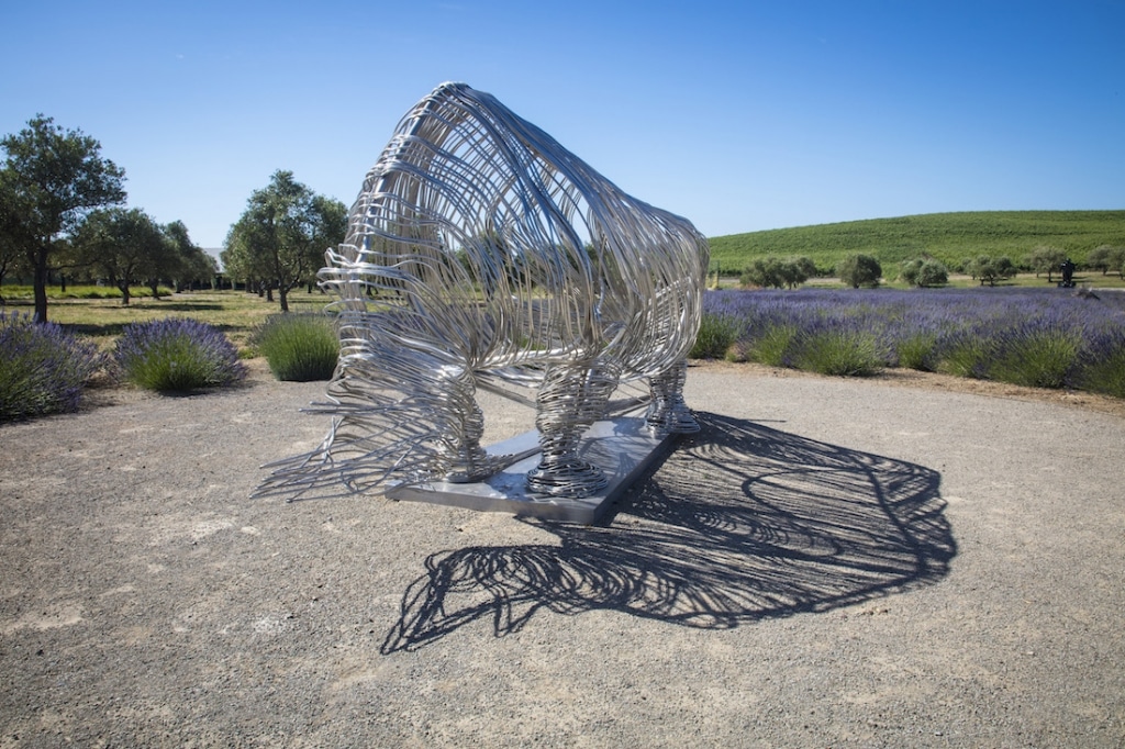The Donum Estate Sculpture Park: A Beautiful Winery Sculpture Garden