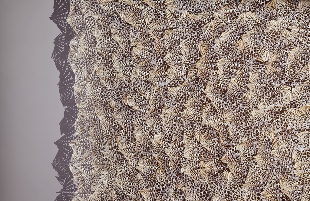 Mesmerizing Seashell Sculptures by Rowan Mersh