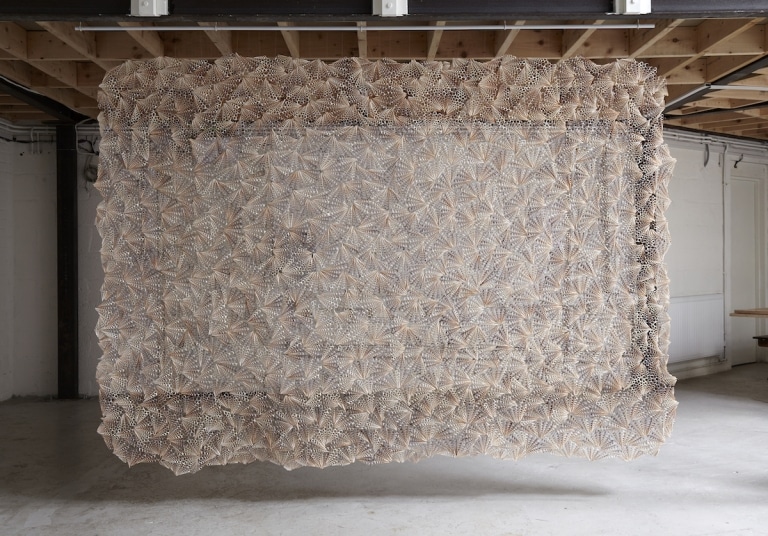 Mesmerizing Seashell Sculptures by Rowan Mersh