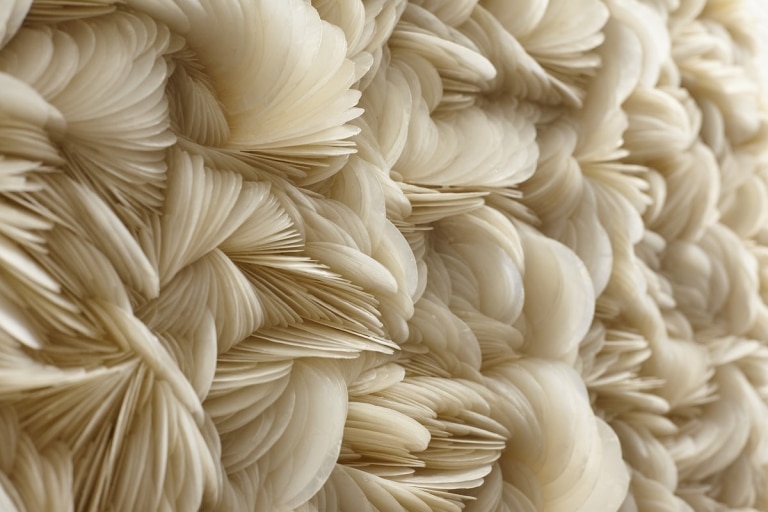 Mesmerizing Seashell Sculptures by Rowan Mersh