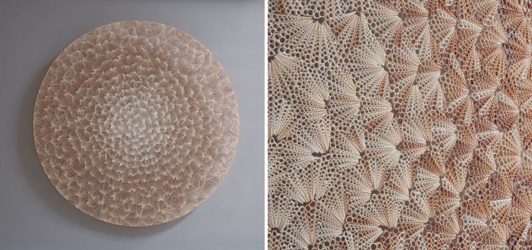 Mesmerizing Seashell Sculptures by Rowan Mersh