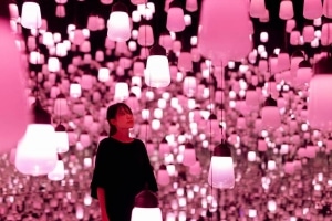 Incredible Immersive Light Installation Inspired by Cherry Blossoms