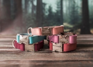 Cool Stuff for Pets to Make Your Animal Stand Out in a Crowd