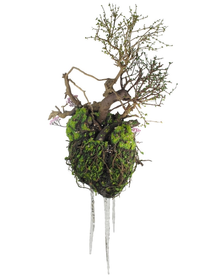 Surreal Plant Sculptures Are Fantasized Nature Made From Real Parts of It