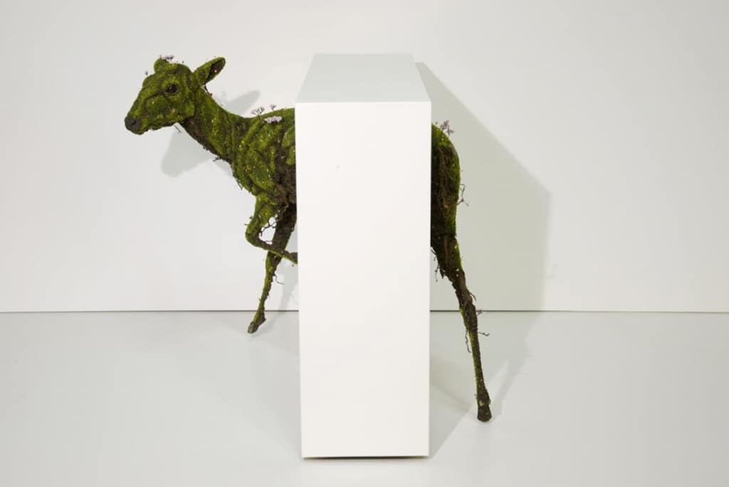 Surreal Plant Sculptures Are Fantasized Nature Made From Real Parts of It