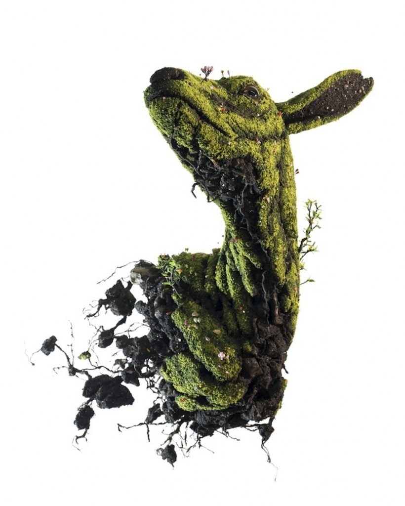 “Fantasized Nature”: The Surreal Plant Sculptures of Émeric Chantier ...