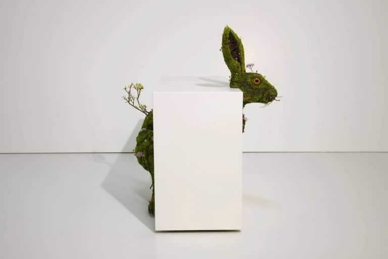 Surreal Plant Sculptures Are Fantasized Nature Made From Real Parts of It