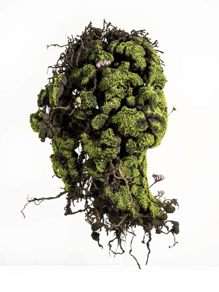 Surreal Plant Sculptures Are Fantasized Nature Made From Real Parts of It