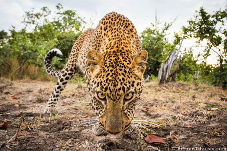 Best of 2019: Top 50 Photographs From Around the World