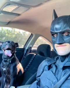 "Batman" usa su batimóvil para transportar animales rescatados