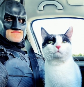 "Batman" usa su batimóvil para transportar animales rescatados