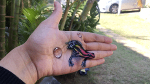 Artist Creates Temporary 3D Paintings On Her Own Hand