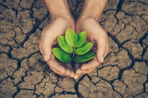 20 Simple, Effective Ways to Help the Environment, Starting Today
