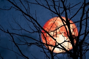 October's Hunter's Moon on Full Display This Weekend
