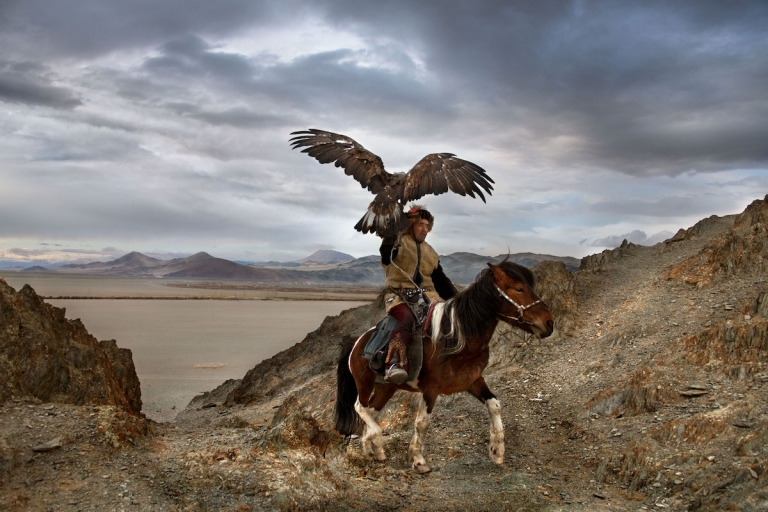 Steve McCurry Shares the Secrets Behind "Animals"
