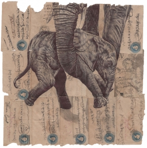 Detailed Animal Drawings are Beatifully Rendered in Ballpoint Pen
