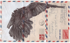 Detailed Animal Drawings are Beatifully Rendered in Ballpoint Pen