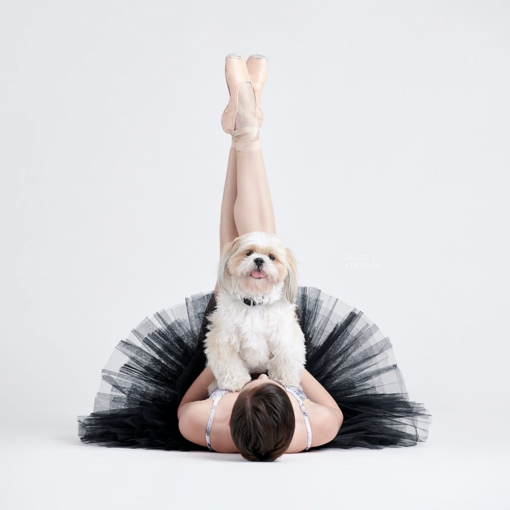 Bailarines profesionales posan con perros adorables en fotos originales