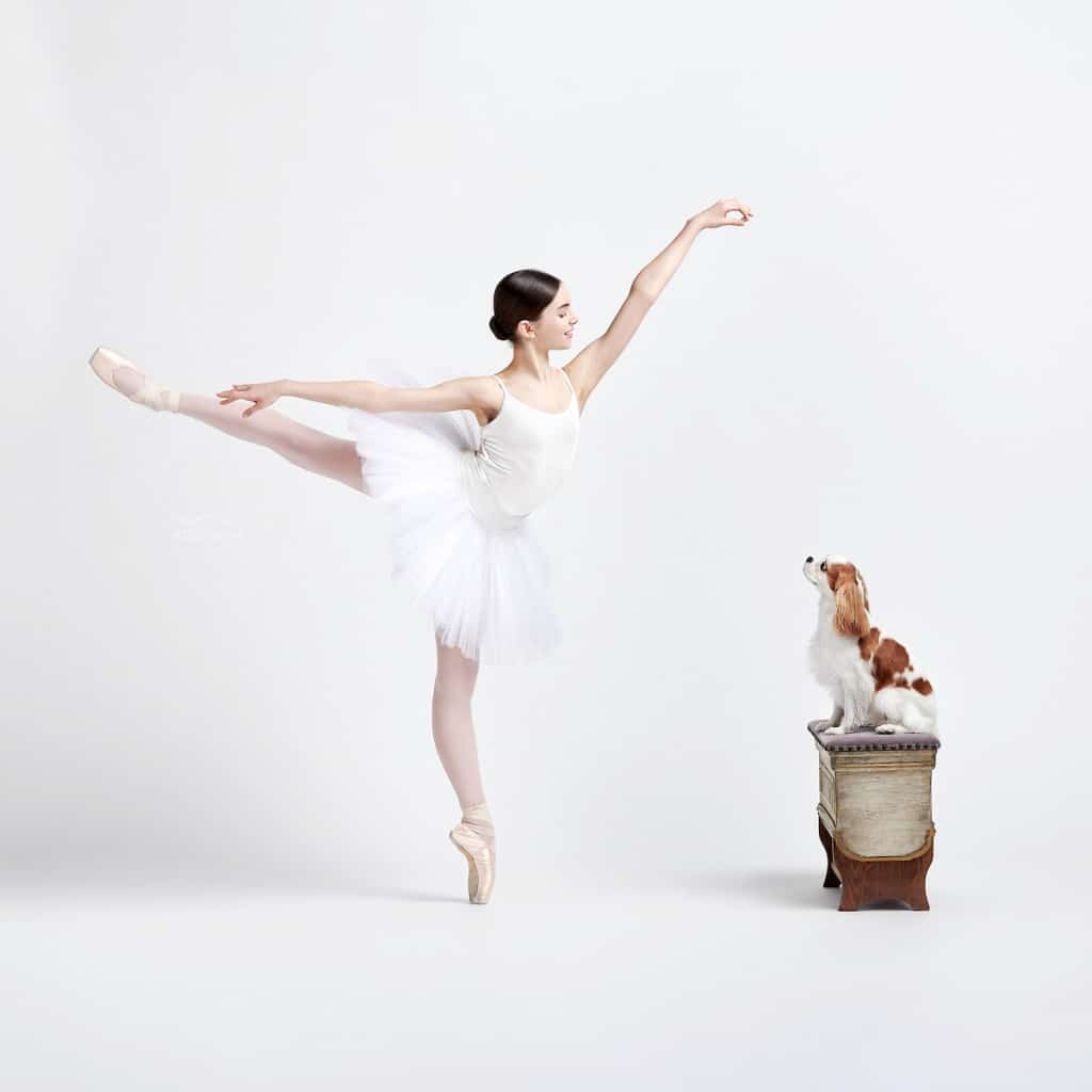 Bailarines profesionales posan con perros adorables en fotos originales