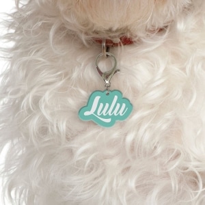 15 Creative Dog Tags From Etsy That Will Personalize Your Pup's Collar
