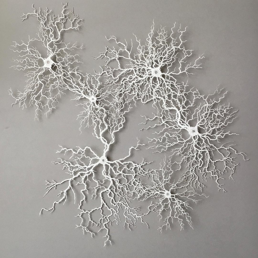 Incricate Paper Sculptures Capture the Complex Patterns in Nature