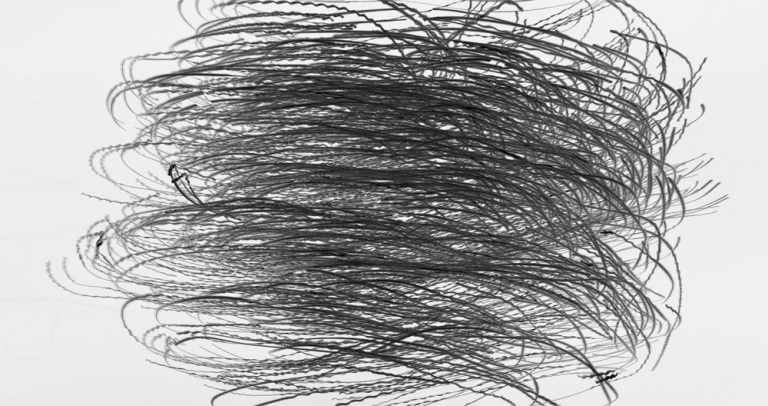 Stunning Bird Formations As Flock Migrate Across the Sky