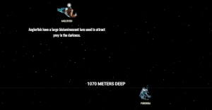 This Fun Website Allows You to Discover the Many Species of the Ocean