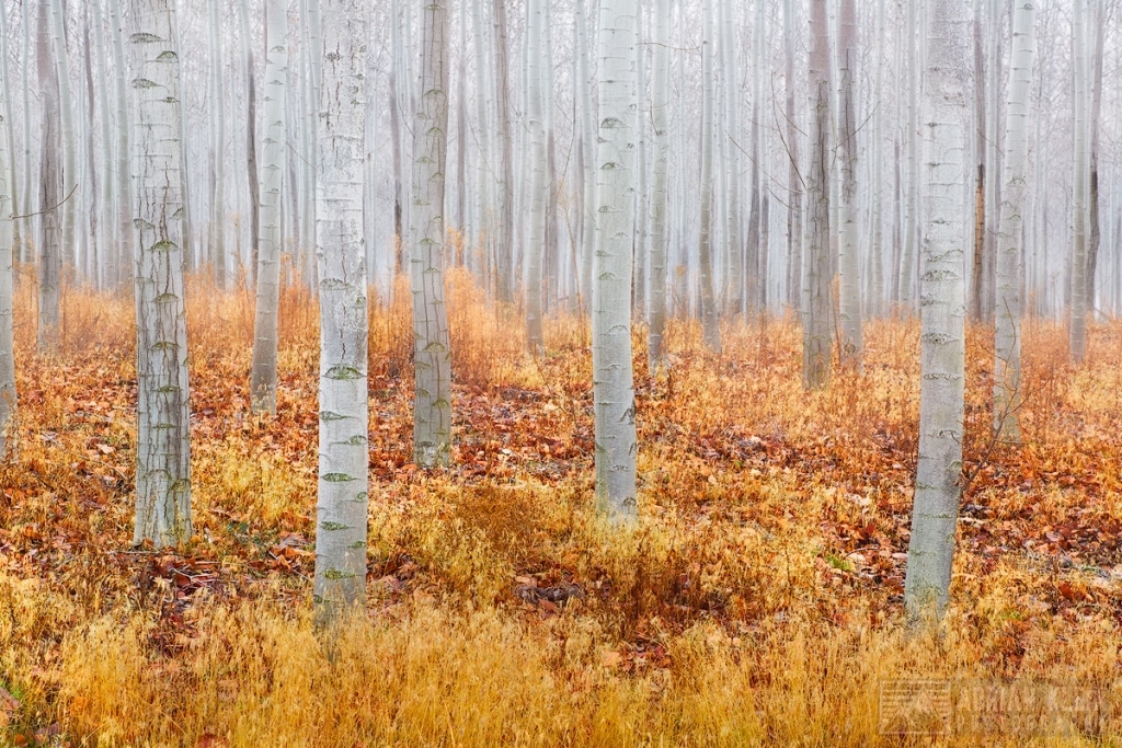 Interview With PNW Nature Landscape Photographer Adrian Klein