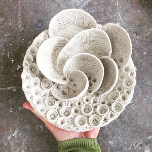 Artist Hand-Sculpts Detailed Ceramics That Mimic Aquatic Life