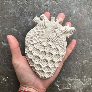Artist Hand-Sculpts Detailed Ceramics That Mimic Aquatic Life
