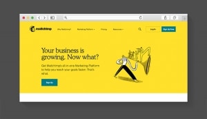 Illustration Definition: What is Illustration and How is It Used Today?