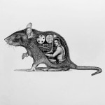 Artist "Dissects" People and Animals in Series of Striking Illustrations