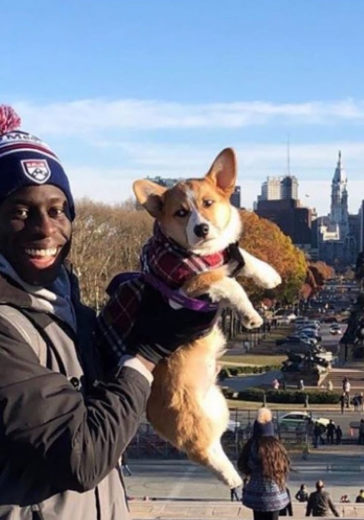 Disapproving Corgis is Facebook Group Sharing the Best of Grumpy Pups