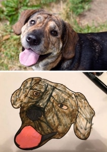 Wisconsin Humane Society Raises $12K by Making Badly Drawn Animals