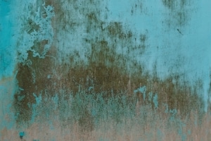 The History of the Color Green: How the Poisonous Pigment Came to Be