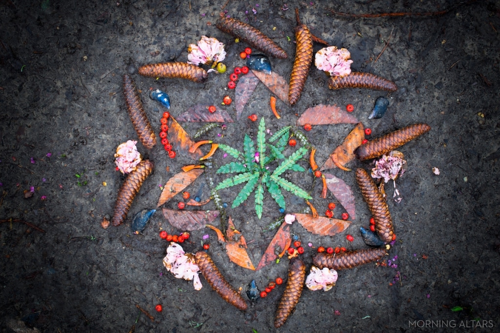 Artist's Geometric Land Art Celebrates Nature's Impermanence