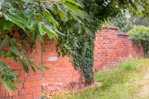 Curved Serpentine Brick Walls Pair Aesthics With Function